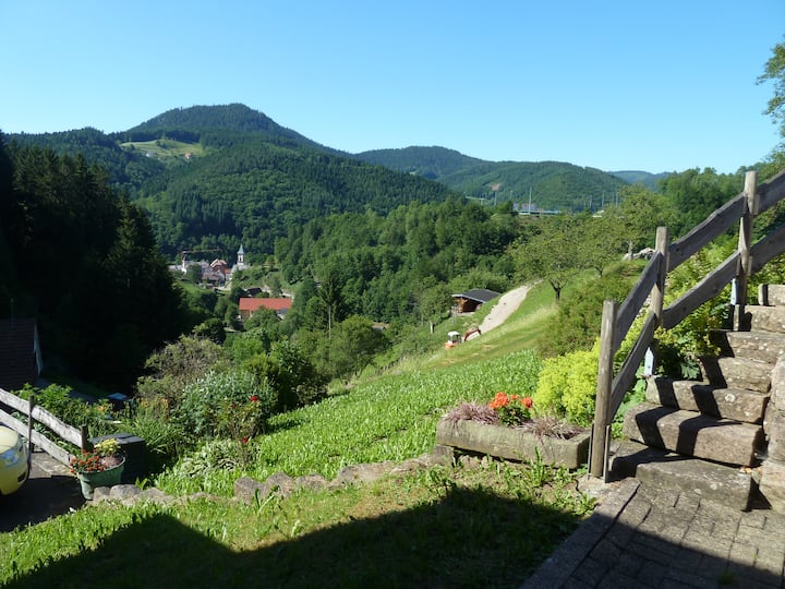 Große Ferienwohnung Haus Armbruster - Bad Peterstal-Griesbach