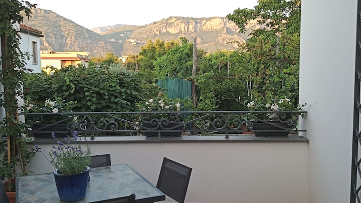 Casa Vacanza "Sarà La Vacanzella" - Sant'Agnello