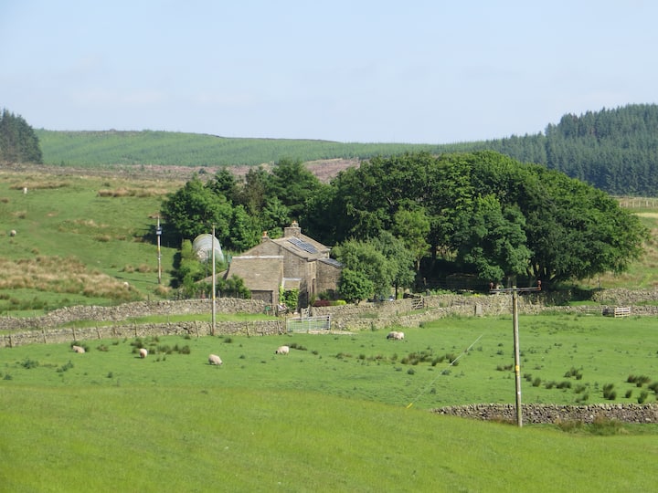 The Shippon, Ilkley Moor. - Ilkley