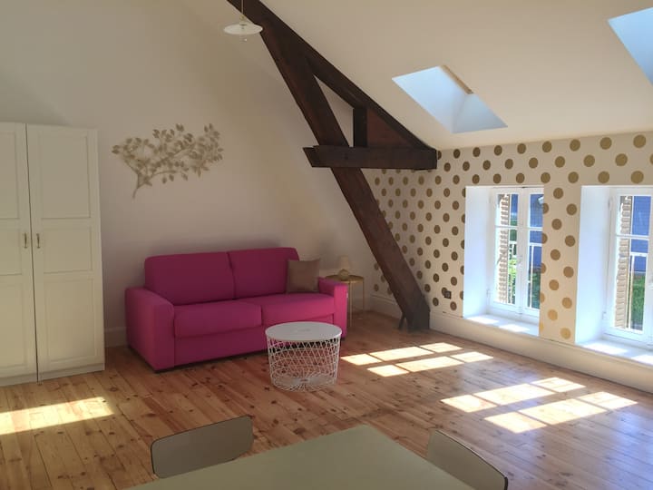 Grand Studio Dans Hôtel Particulier. - Vichy