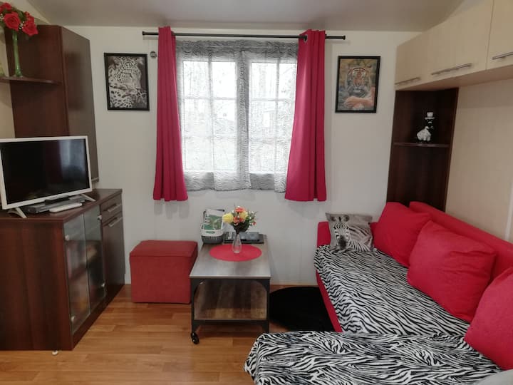 Mobil Home Spacieux 4/6 Pers Climatisé Lave-linge - Mesland