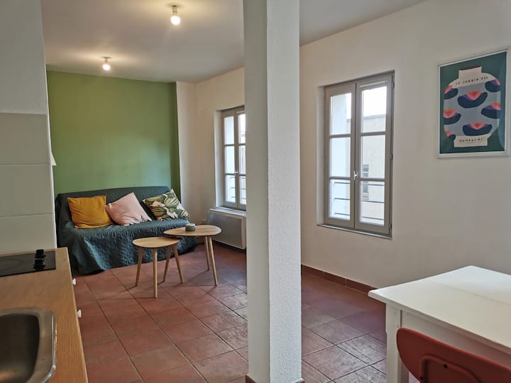 Grand Studio Centre-ville - Avignon