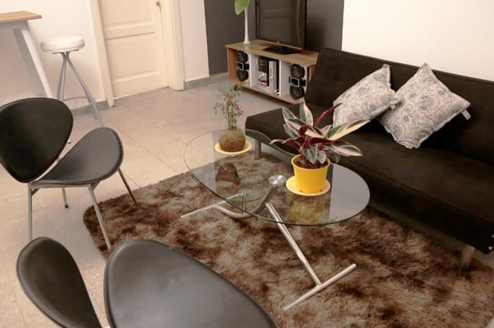 Departamento Céntrico, Espacioso Y Acogedor - Mendoza