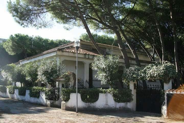Villa Mediterranea A 50 Metri Dal Mare - Mondragone
