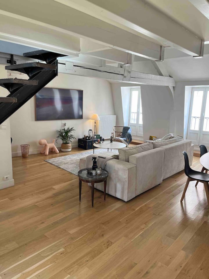 Très Beau Duplex Au Centre Historique De Dijon. - Dijon