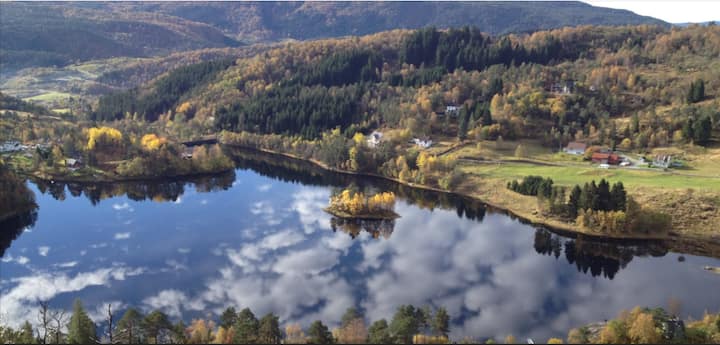 Cozy Studio With Nature At Your Doorstep! - Bergen