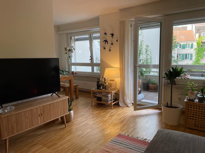 One Bed-apart With Office & Pool - Bâle