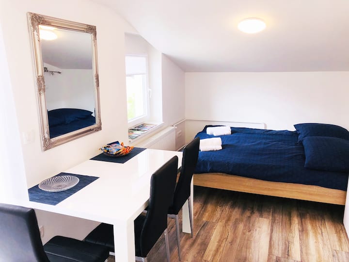 New Double Room No. 1 In A Guest House+parking - Ljubljana