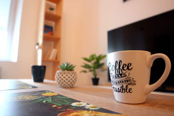 Woody Studio 🍃 - Nantes