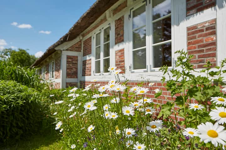 Wunderhaus, Kaiser Wilhelm - Jork