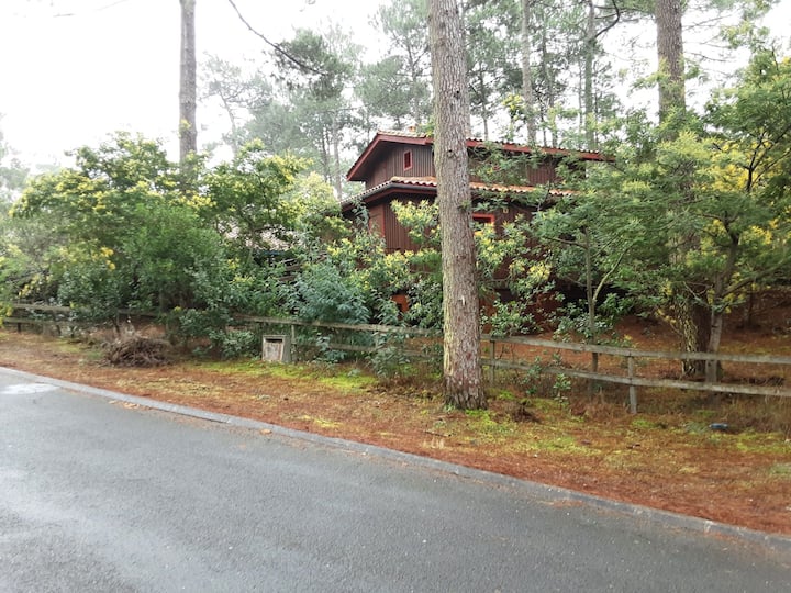 Jolie Maison En Bois à Carcans Maubuisson - Carcans
