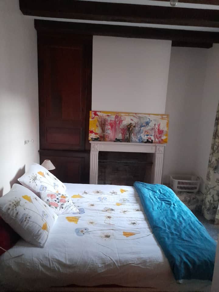 Logement Indépendant Dans Une Demeure Bourgeoise - La Châtre