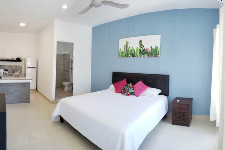 New Studio!! The Best Location Downtown!! - Cozumel