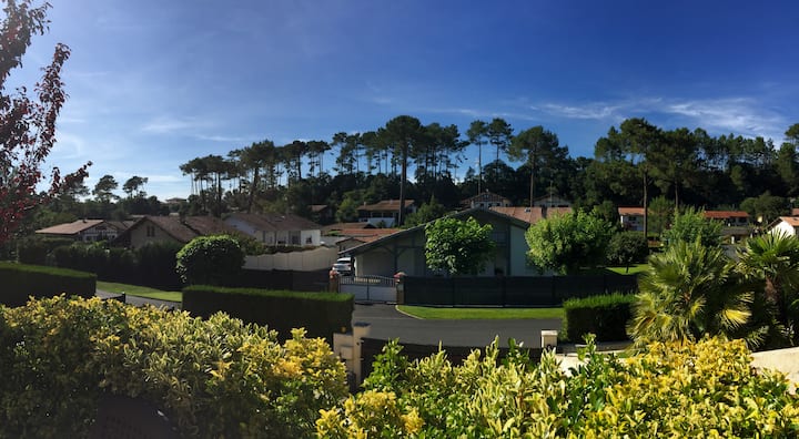 Studio Climatisé Au Calme Des Pins D'hossegor - Hossegor