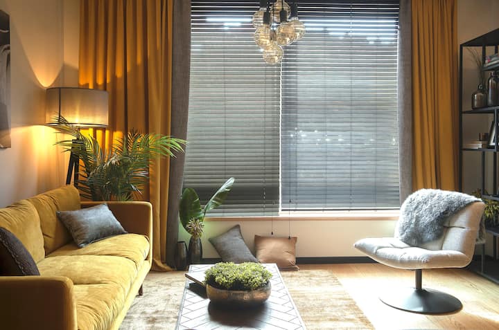 Elegant Embassy Apartment - Vilna