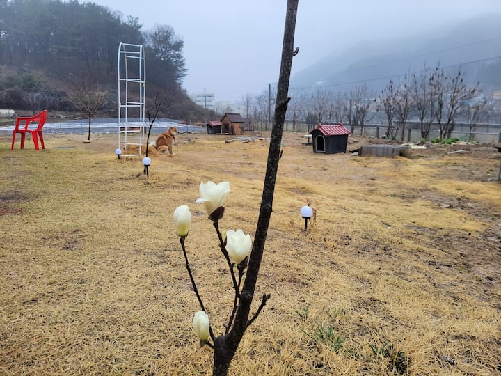 곰돌이네 전원주택 Teddybear's Country  House - Daejeon
