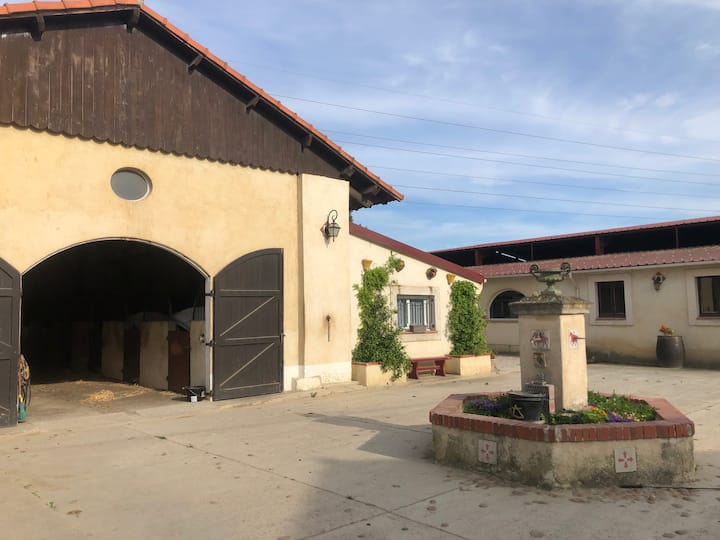 Logement Insolite Au Coeur D'une éCurie - Camargue