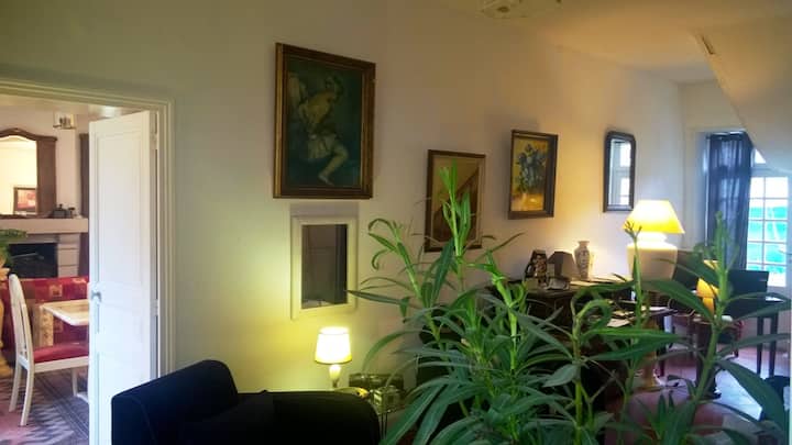 Belle Demeure 150 €  Par Jour - La Roche-Posay