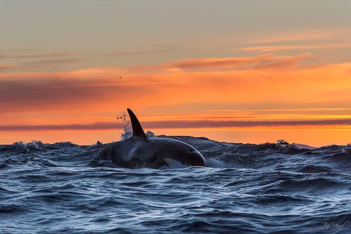 Koselig Leilighet 
For 2 Personer. - Norwegen