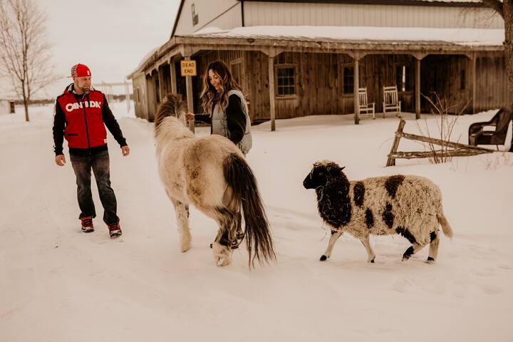 10 Best Ranches To Stay In Ontario, Canada - Updated 2024 | Trip101