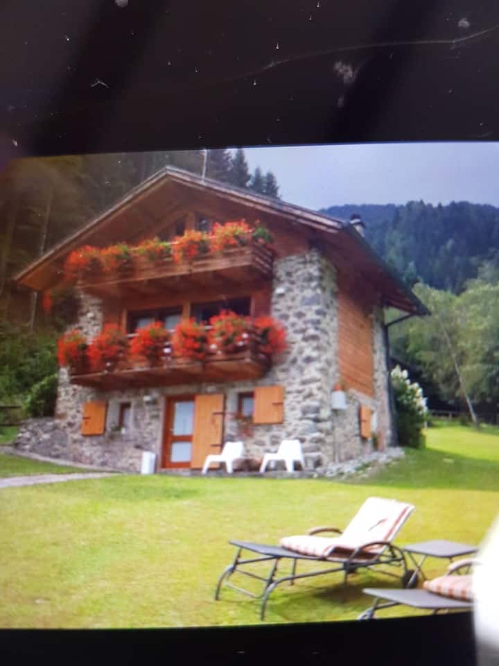 Chalet Heidi Nelle Dolomiti - San Martino di Castrozza