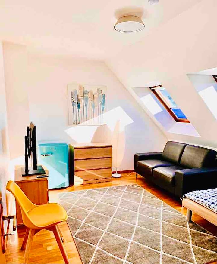 Big Bright Room In Modern Apartment - Luxembourg City