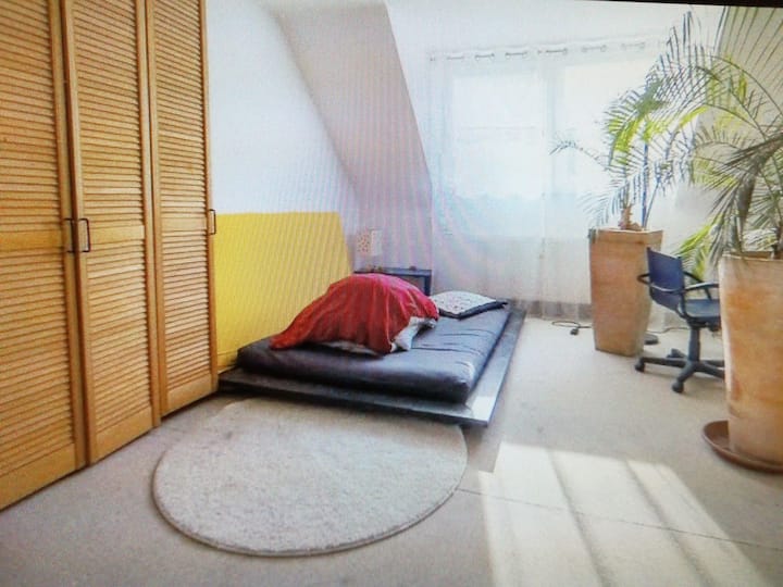 Mannheim City Center - Mannheim