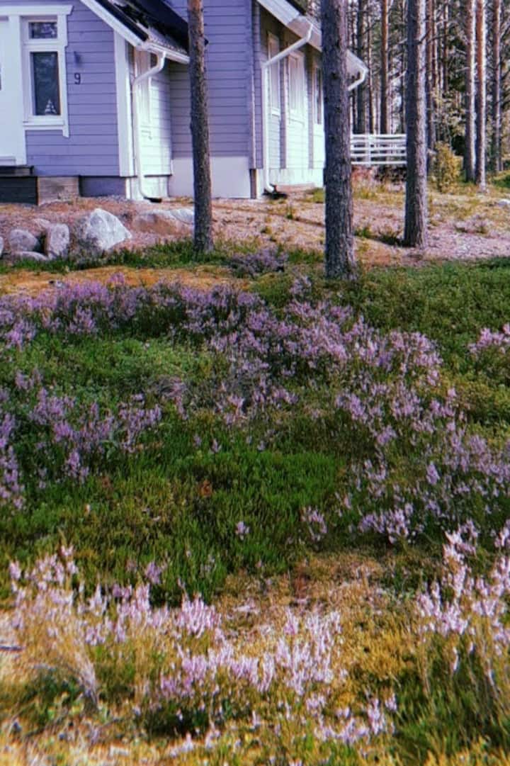 Loma-mökki Hiekkasärkillä - Kalajoki