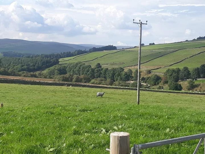 Alston Farm Caravans (Caravan Arizona) - Alston