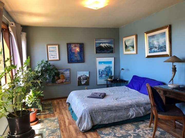 Fabulous Blue Bright/ocean View+clean+park+3 Bath - San Francisco, CA
