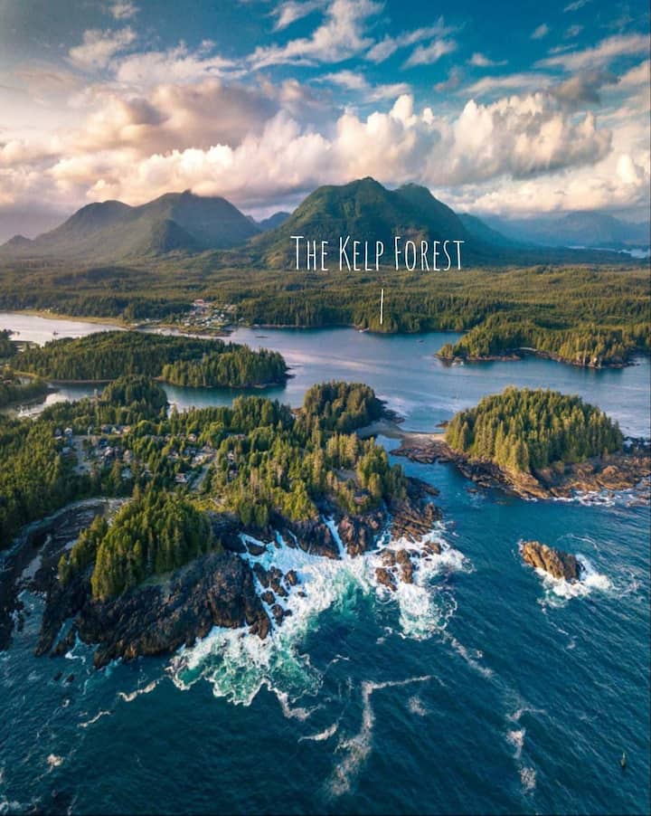 Kelp Forest Cove - Ucluelet