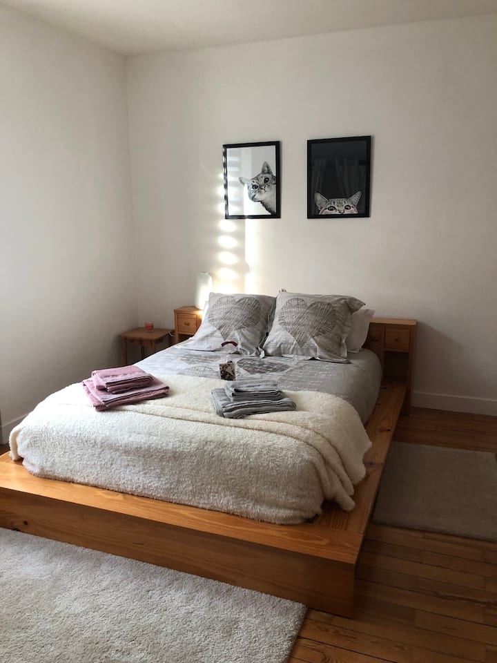 Chambre Climatisée+salon+petit Déjeuner-colmar - Colmar