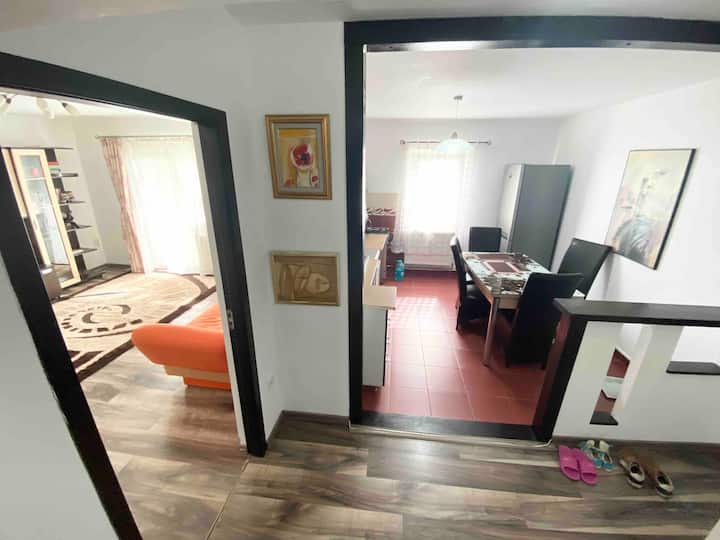 Doctor P’ S House - Giroc