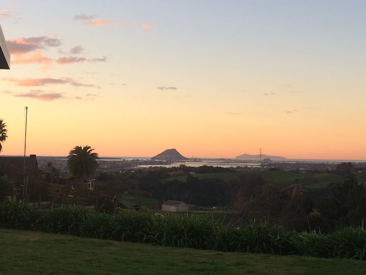 Urban Convenience With Country Privacy And Views - Tauranga