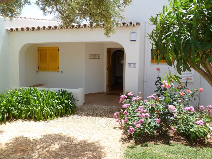 Abelha - Vilamoura