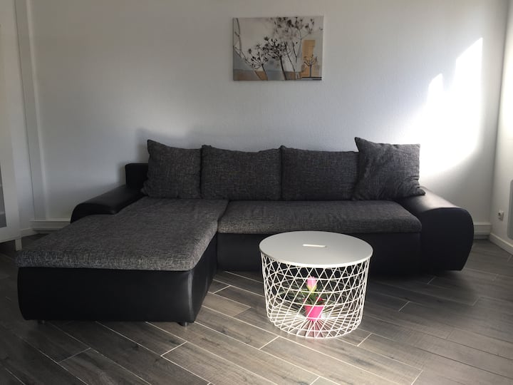 "Les Jobach" ! Joli F2 De 63m2. - Sélestat