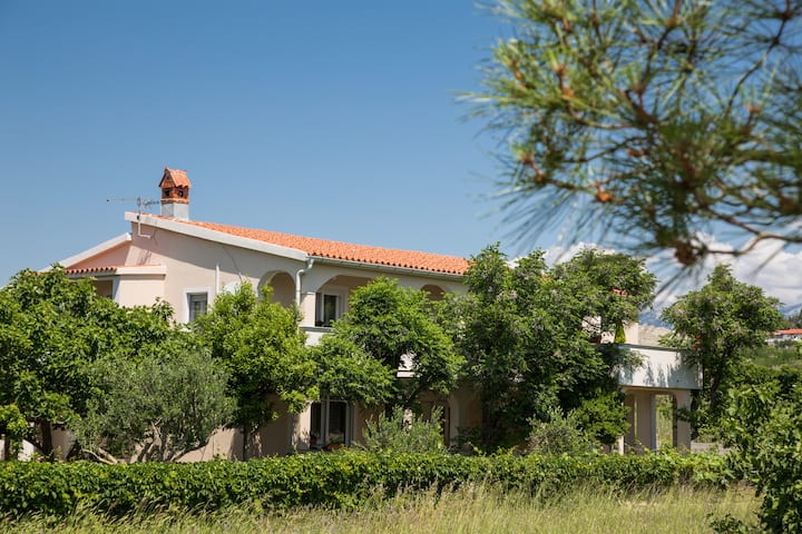 Apartmarija-app 1 - Nin