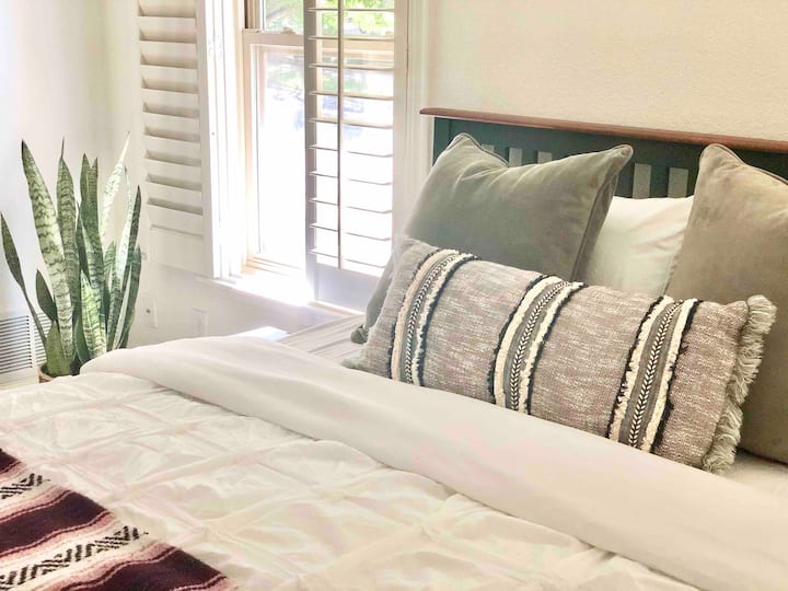One Guest Only• Near Airports And Conv Center - Irving, TX