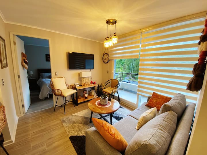 Hermoso Y Comodo Departamento Nuevo Con Piscina . - Pucon