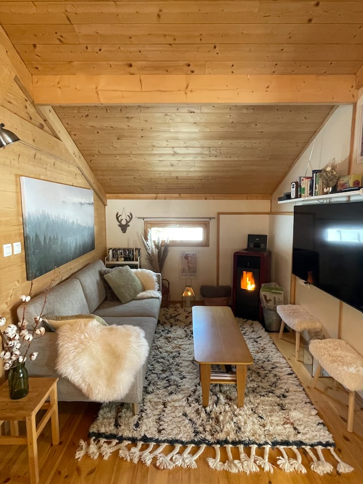 Chalet En Bord De Forêt - Zinal