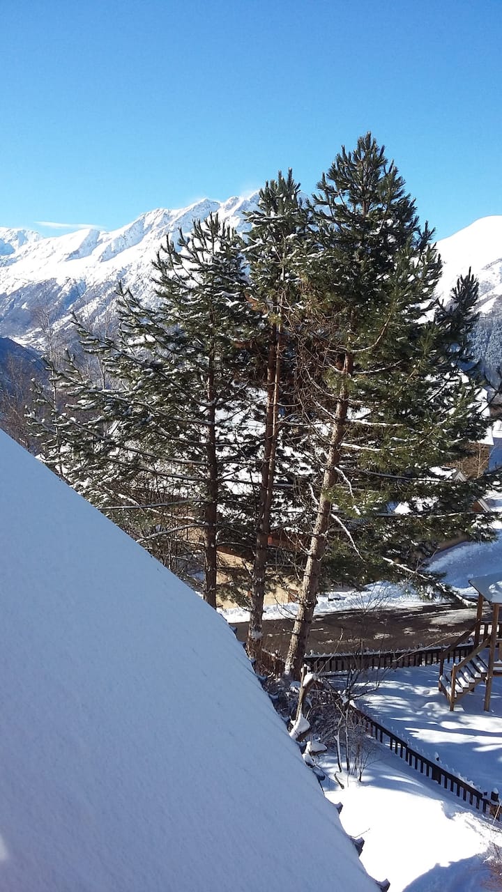 Un Chalet à Villard-reculas - Villard-Reculas