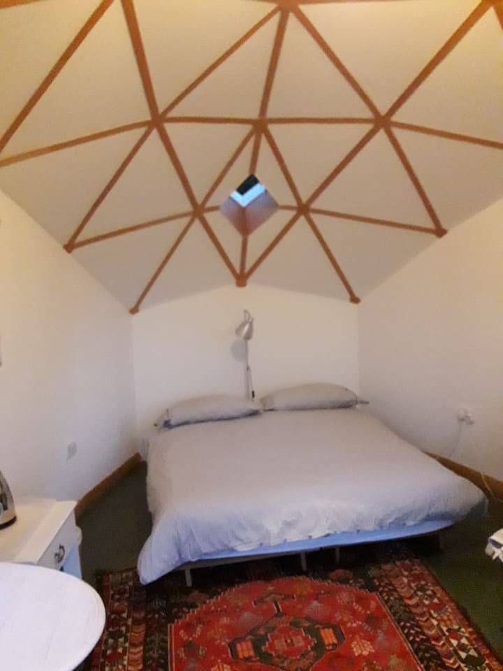 Unique Domed Cabin Called The Carapace. - Hay-on-Wye
