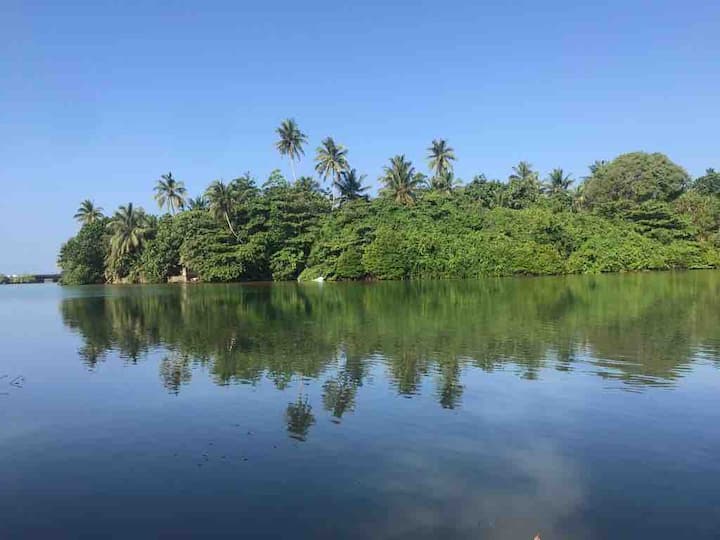 Cataliya - Hikkaduwa