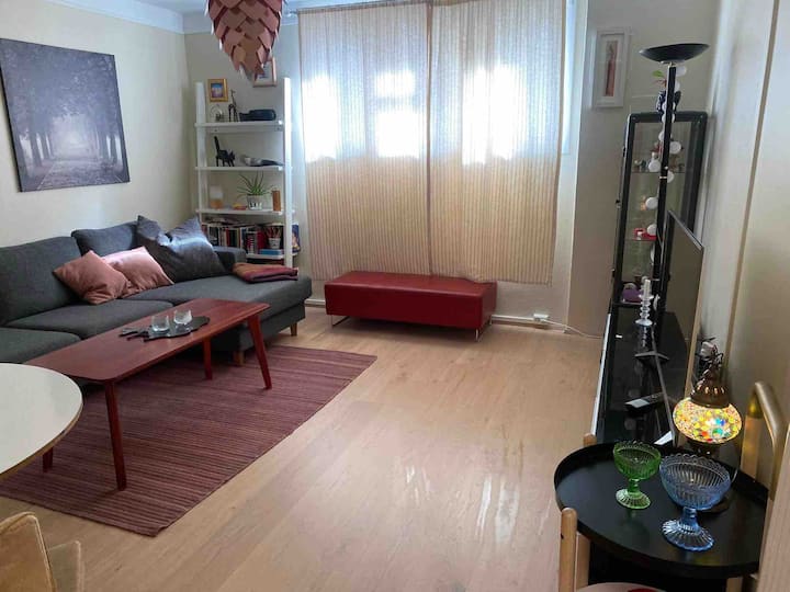 Cosy Apartment City Centre - Rejkiawik