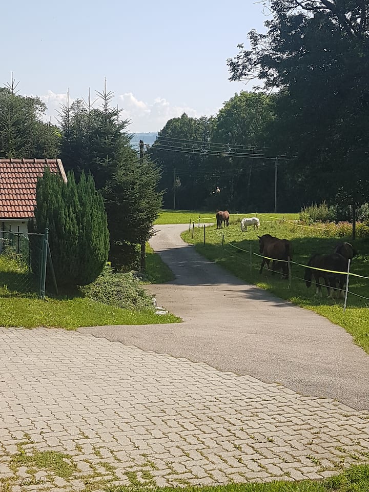 Ferienwohnung Im Grünen Mit Traumhaftem Ausblick - Waltenhofen
