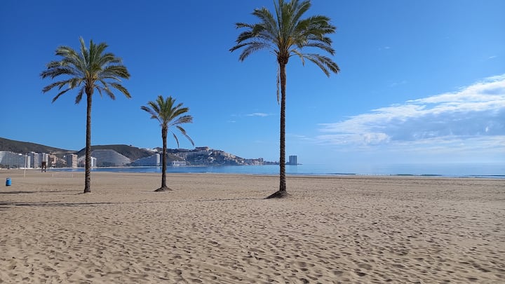 Cullera Magica - Favara