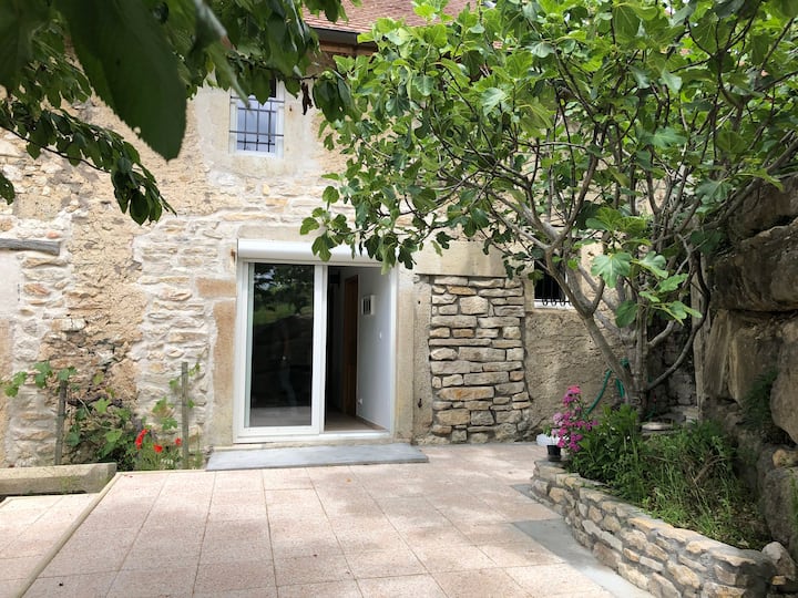Maison En Pierre Au Coeur Des Vignes - Seillonnaz - Ain