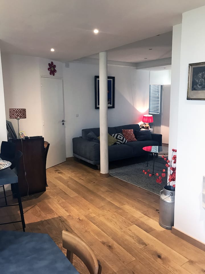 Grand Studio 55 M2 ,Paris 10 èMe - Paris