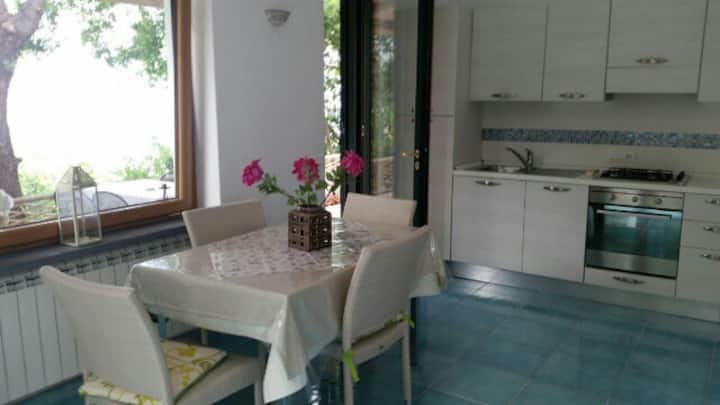 Apartment With Lovely Landscape - Ischia