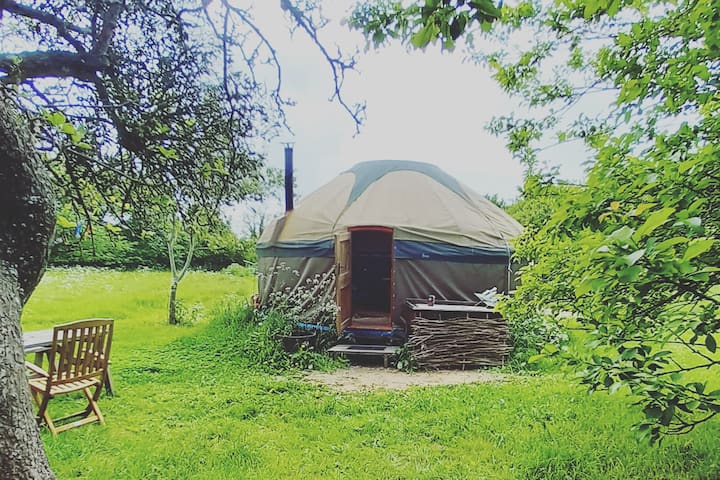 Private 18ft Yurt, Nr Glastonbury, Ashmead Meadow - Yurts for Rent in ...